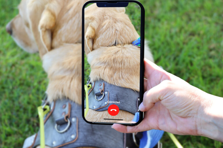 News Archive - Guide Dogs Australia